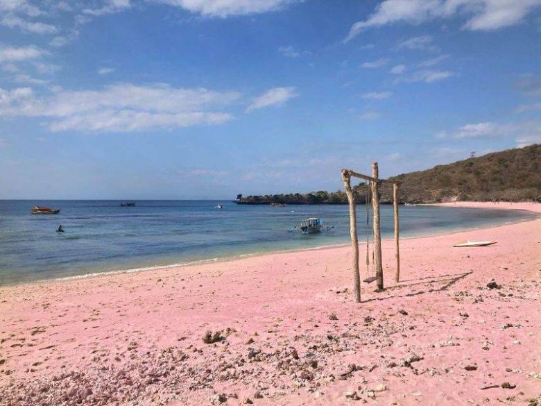 Pantai Pink Snorkeling, Penginapan, Dan Rute Ke Lokasi Wisata 2026 ...