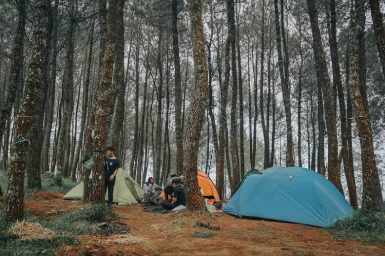 Camping Di Gunung Putri Lembang 2025 - Tiket, Rute Dan Penginapan Terdekat - PanduanWisata.id