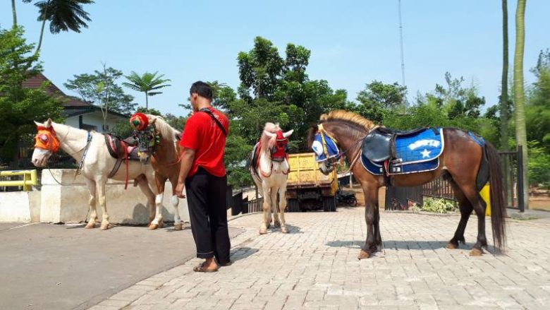 Tandon Ciater Bsd 2026: Jam Buka & Harga Tiket Masuk - PanduanWisata.id