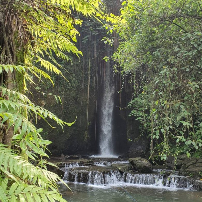 Sumampan Waterfall Bali: A Hidden Gem In The Heart Of Bali ...